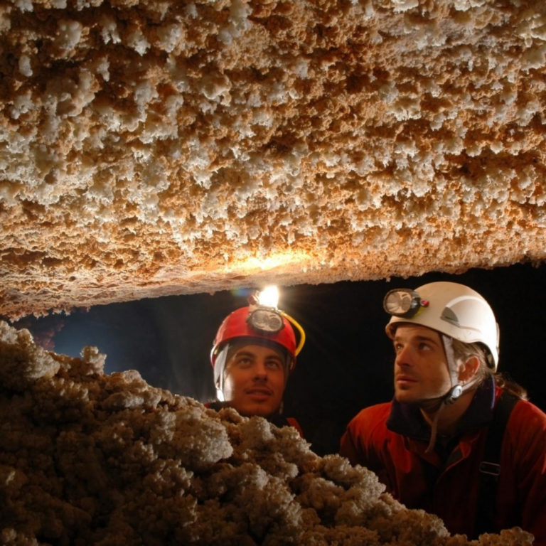 Operations Planning & Execution Software - Commit Works